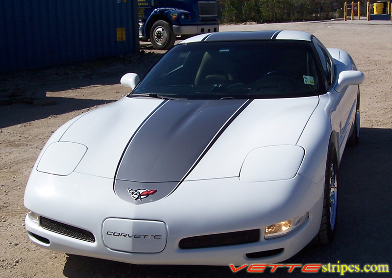 C5 Corvette RF Fender Hash Mark Stripes - Vettestripes